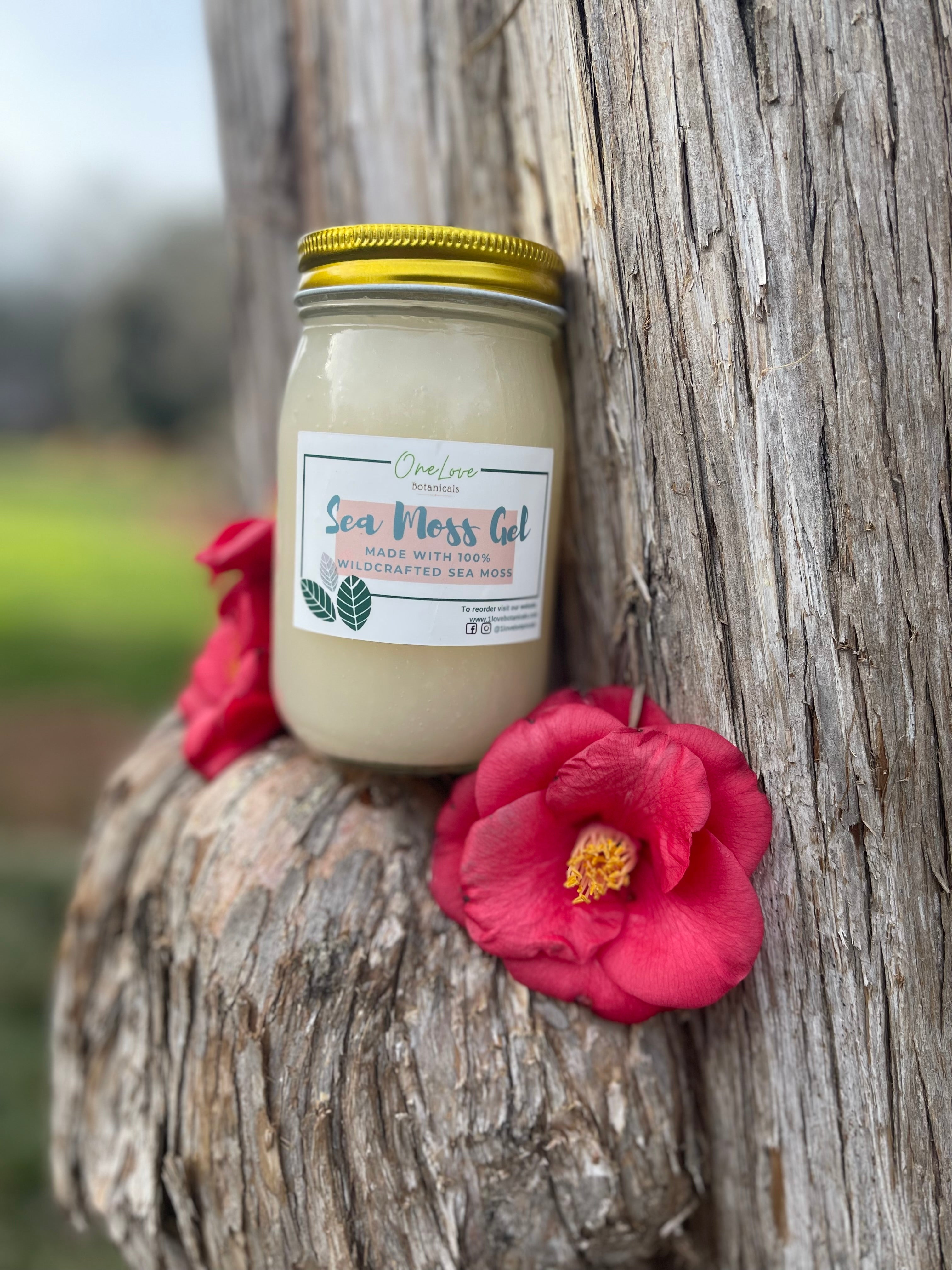 Premium Sea Moss Juice – The Don Collective
